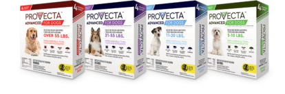 Provecta Advanced for Dogs - Repels and Kills Ticks, Fleas and Mosquitos